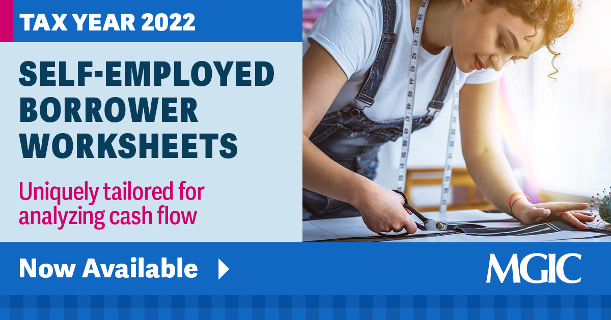 SEB cash flow worksheets